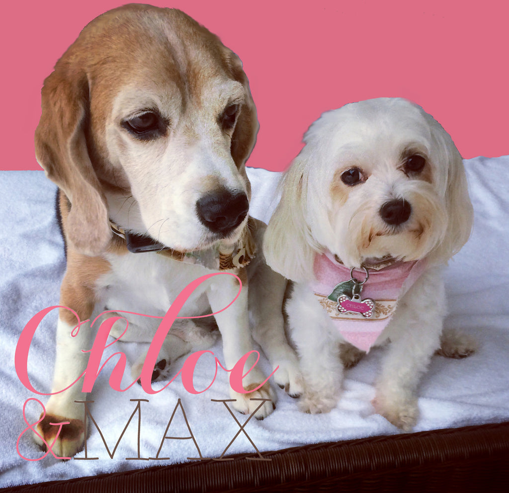 Chloe & Max Gift Card – Chloe and Max