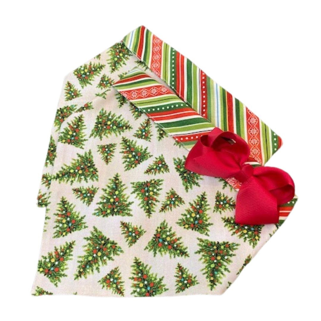 Trees with Lights – Chloe and Max